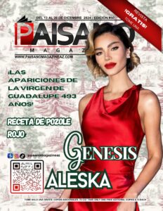 Revistas – Paisano Magazine AZ